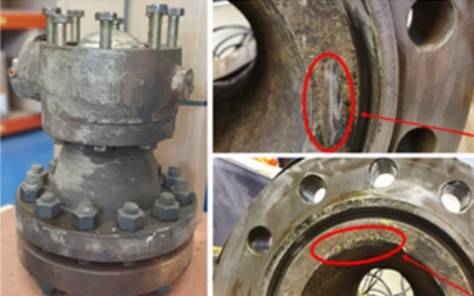 Flange Inspection Live TFM :: Sonatest